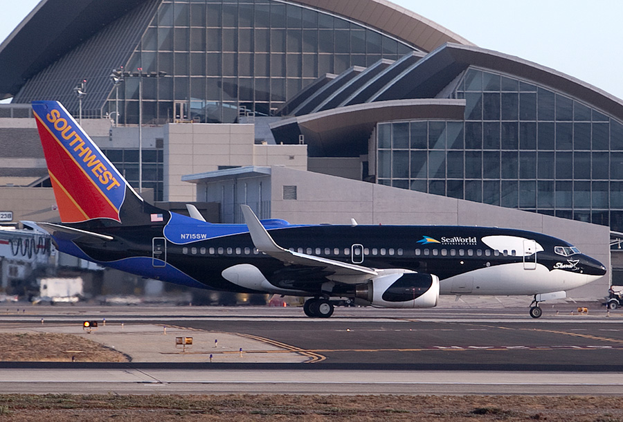 Southwest Airlines SeaWorld Shamu One Plane at LAX - MyNewsLA.com