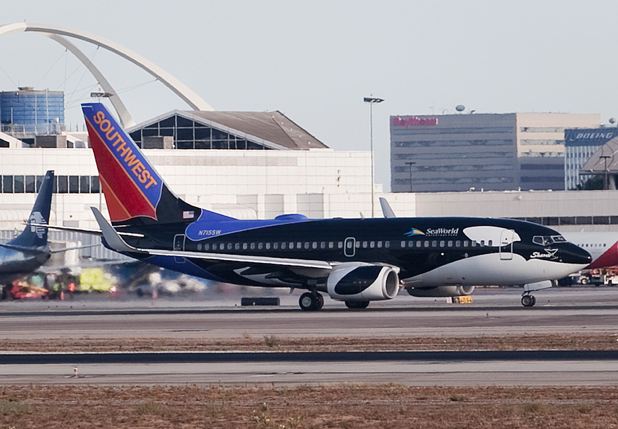 Southwest Airlines SeaWorld Shamu One Plane at LAX - MyNewsLA.com