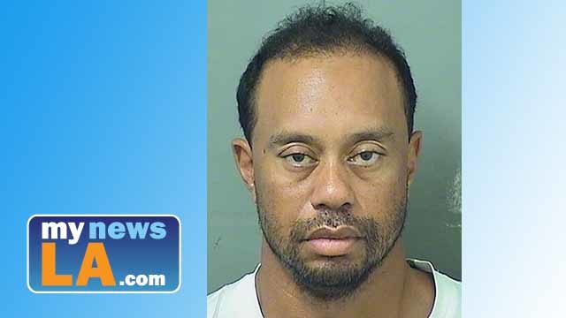 Tiger Woods looks godawful after his DUI arrest in Florida - MyNewsLA.com