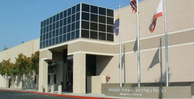 Woman Rescuer Killed Helping Injured Dog In Riverside: Alleged Hit-And ...
