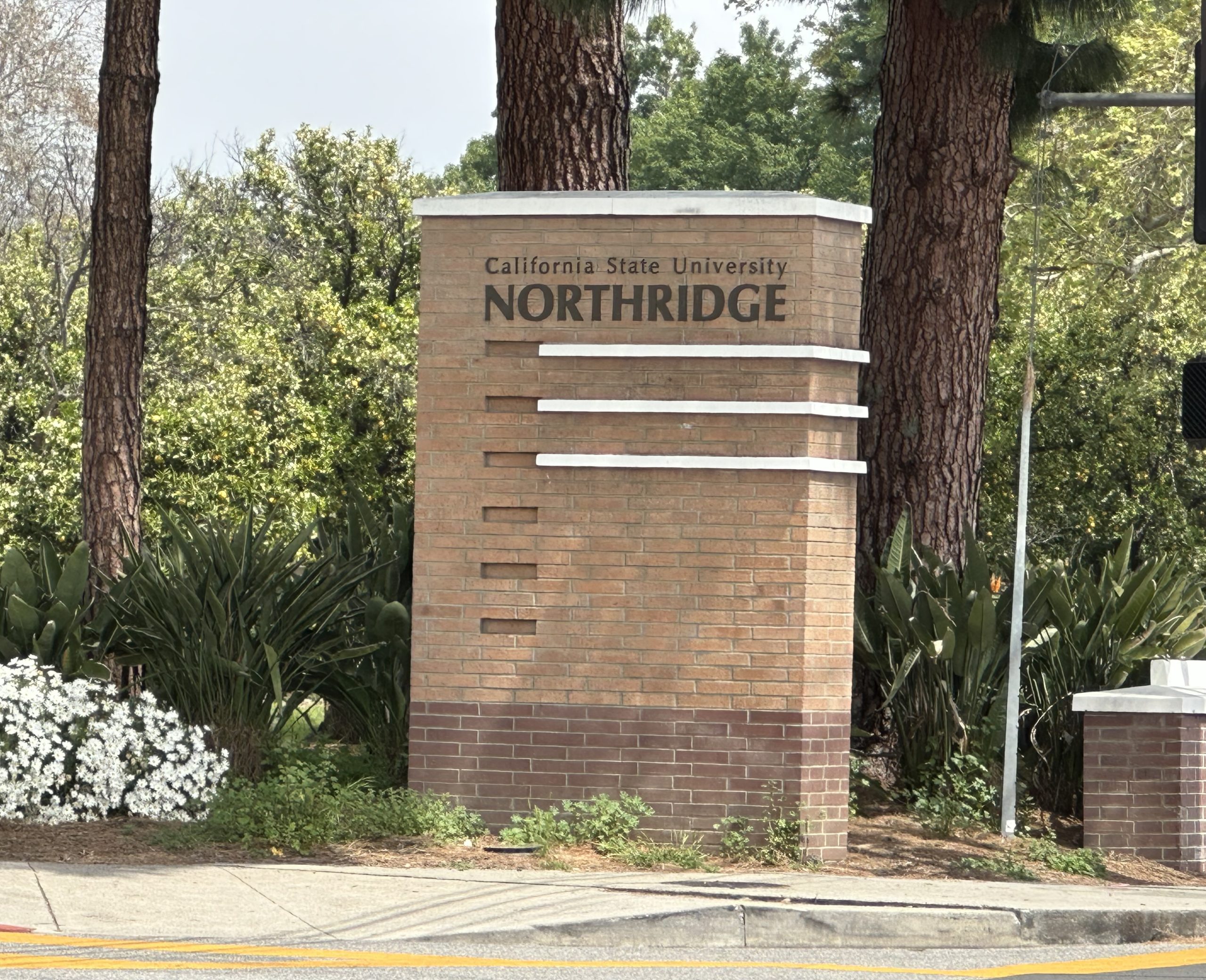Judge Clears Former CSUN Associate Athletic Director’s Suit For Trial ...