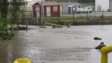 Storm Brings Rain and Snow into Riverside County - MyNewsLA.com