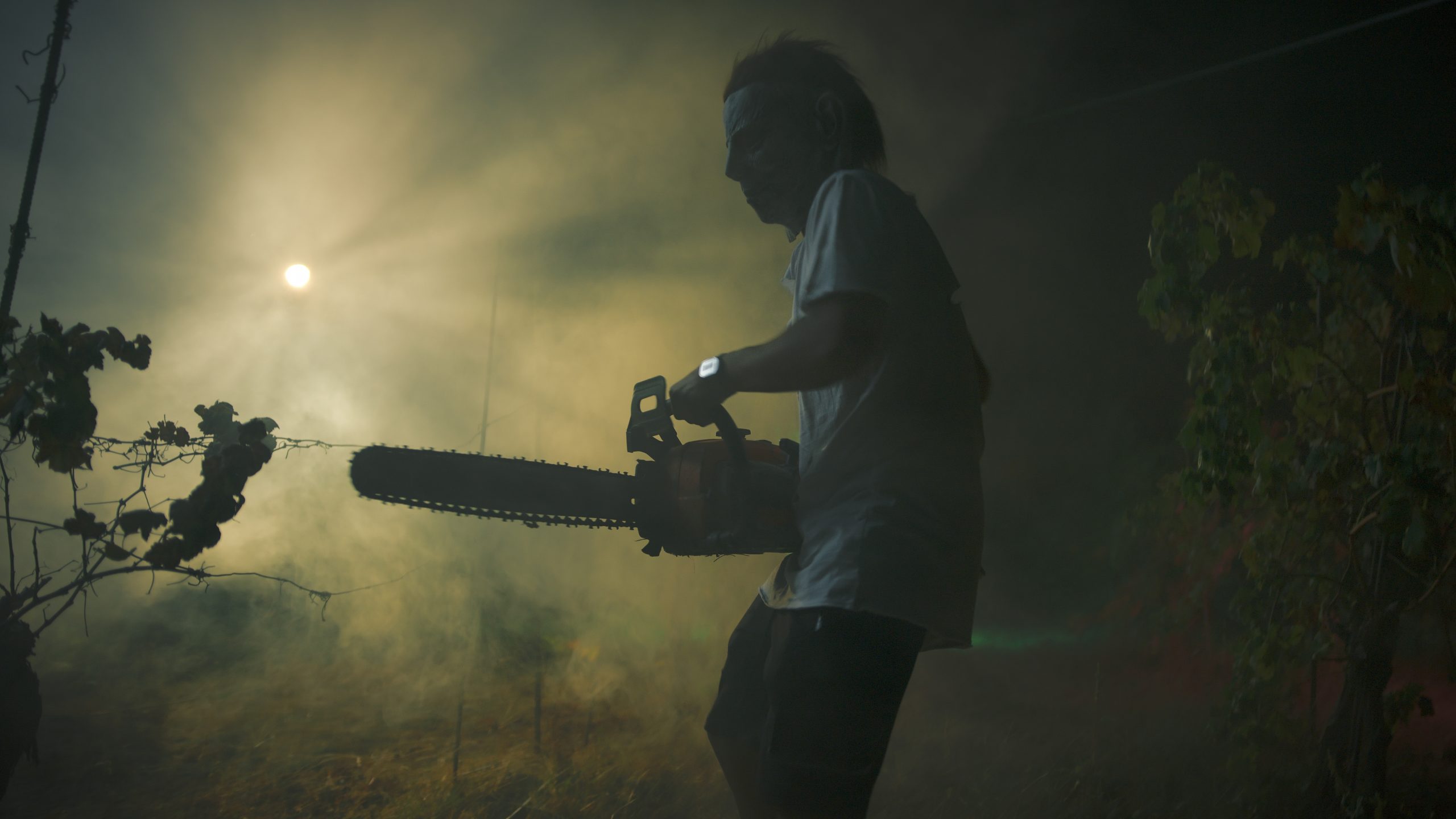 Alleged Tree Vandal to Stand Trial - MyNewsLA.com