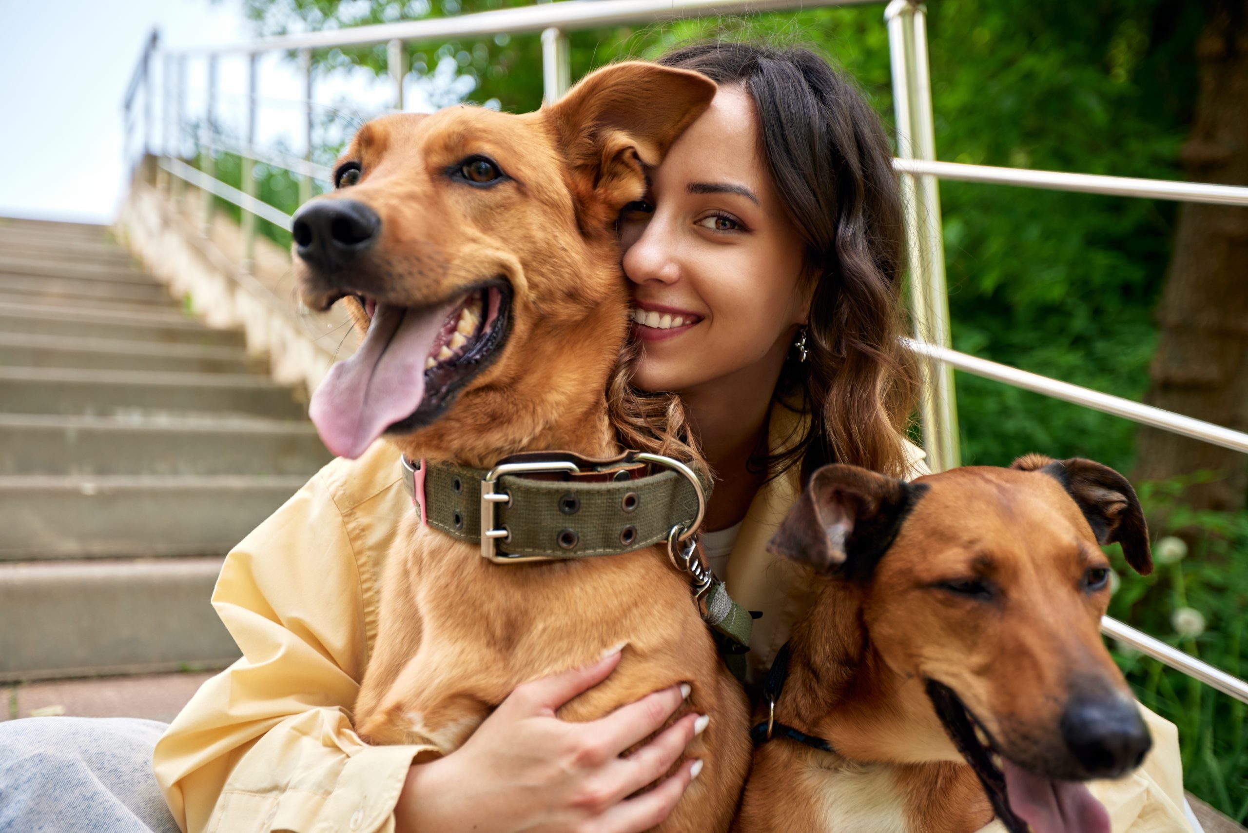 LA Council Commissions Study on Sale of Pet Supplies at Shelters ...