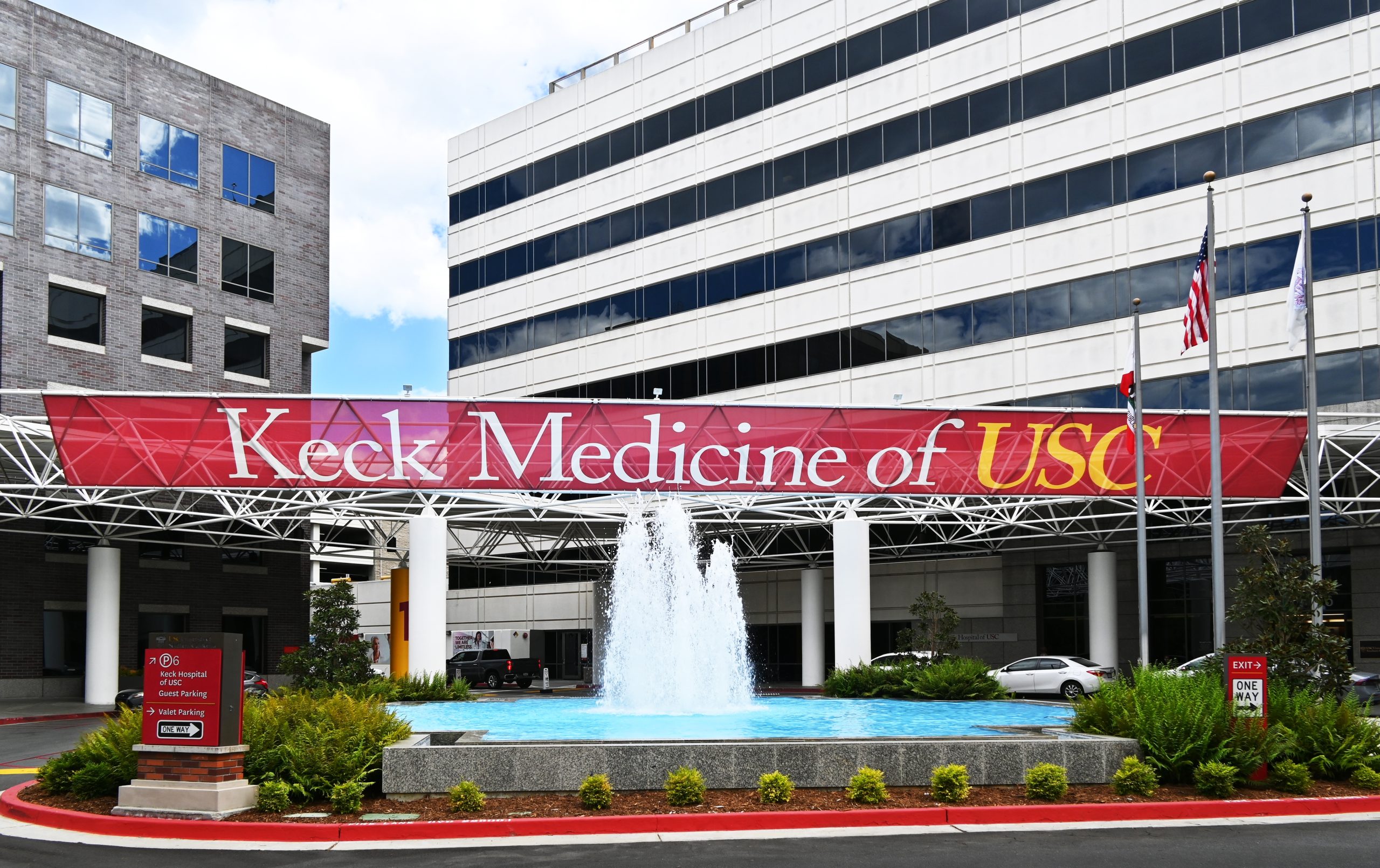 USC Lab Under Inspection After Three Rabbits Died - MyNewsLA.com