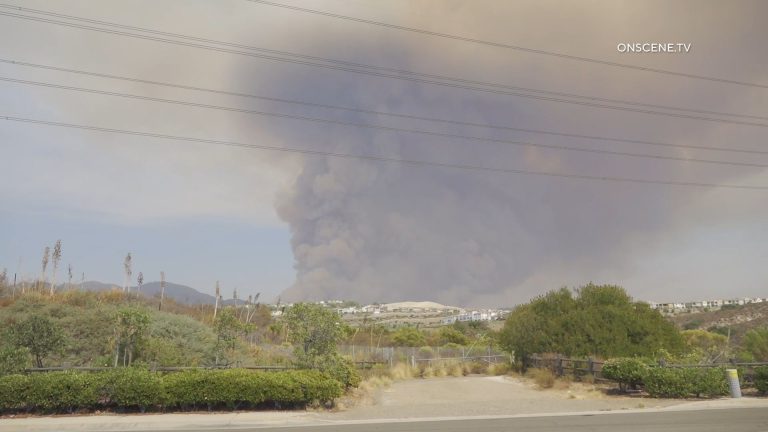 OC Reissues Emergency Declaration for Airport Fire - MyNewsLA.com