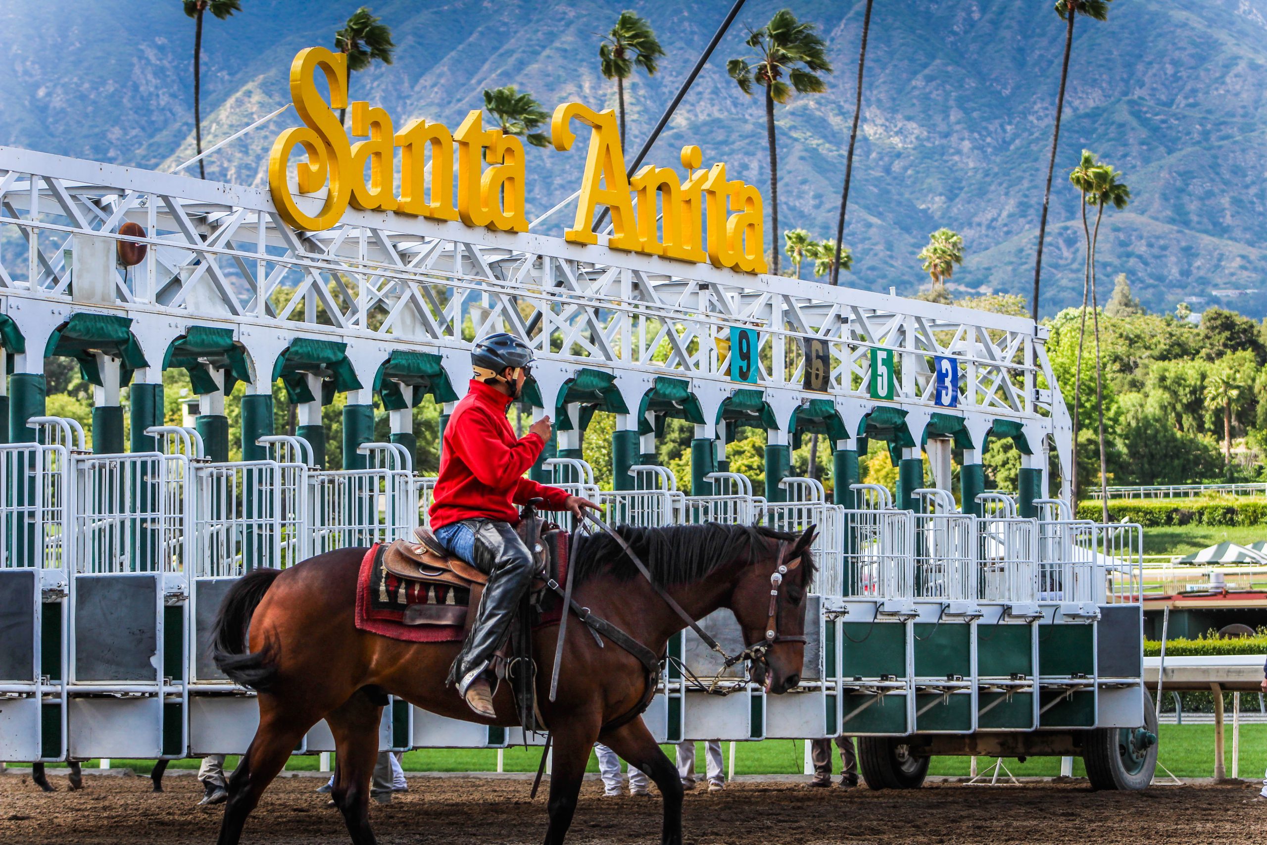 Santa Anita Hosts Winter-Spring Classic Sunday - MyNewsLA.com
