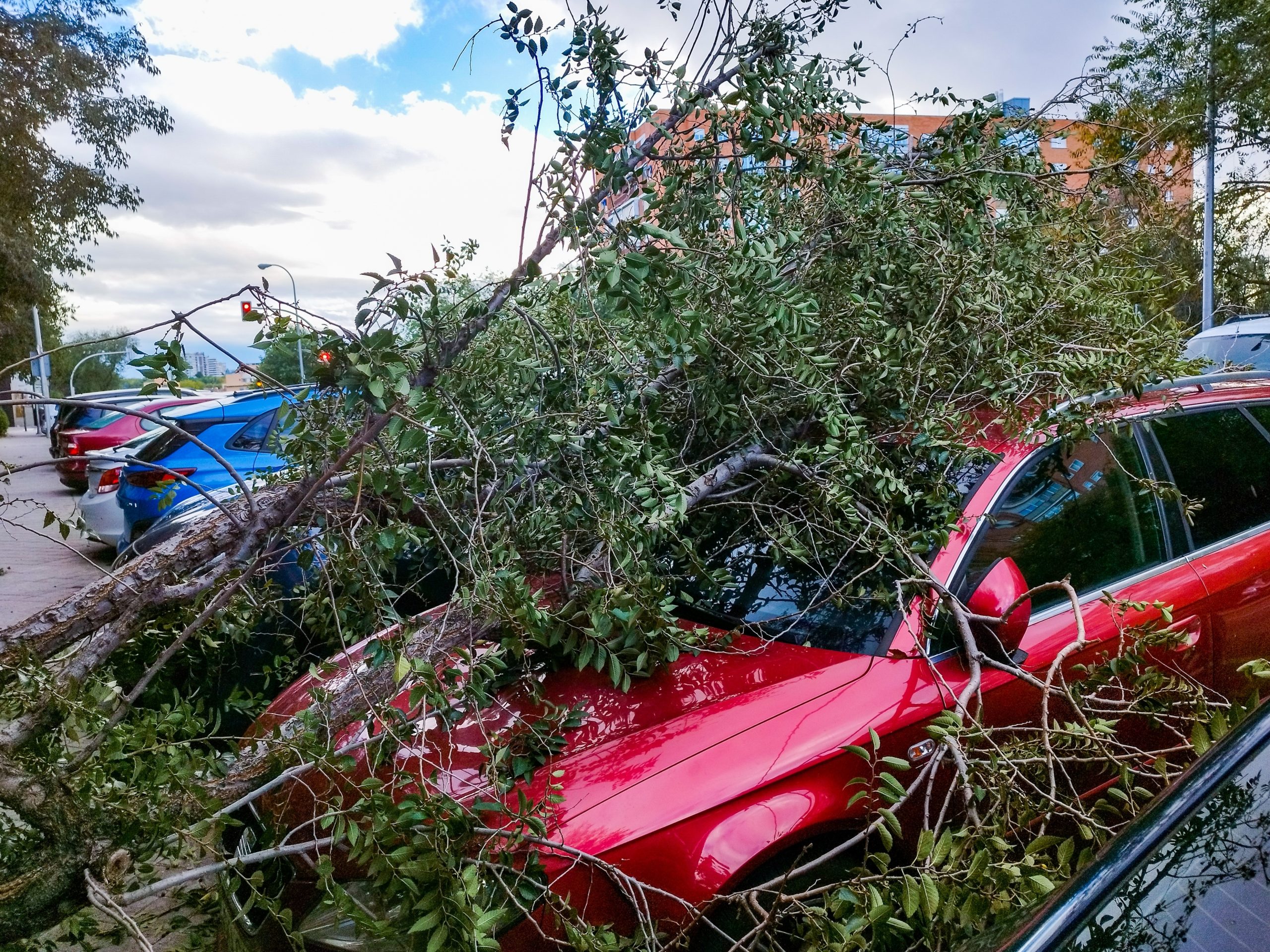 Riverside Non-Profit Will Send Aid for Hurricane Helene Relief ...