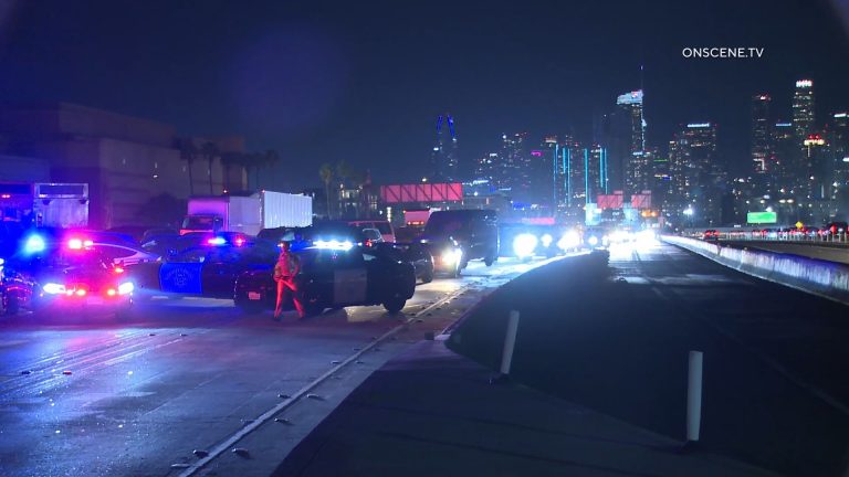 Pedestrian Killed on 110 Freeway - MyNewsLA.com