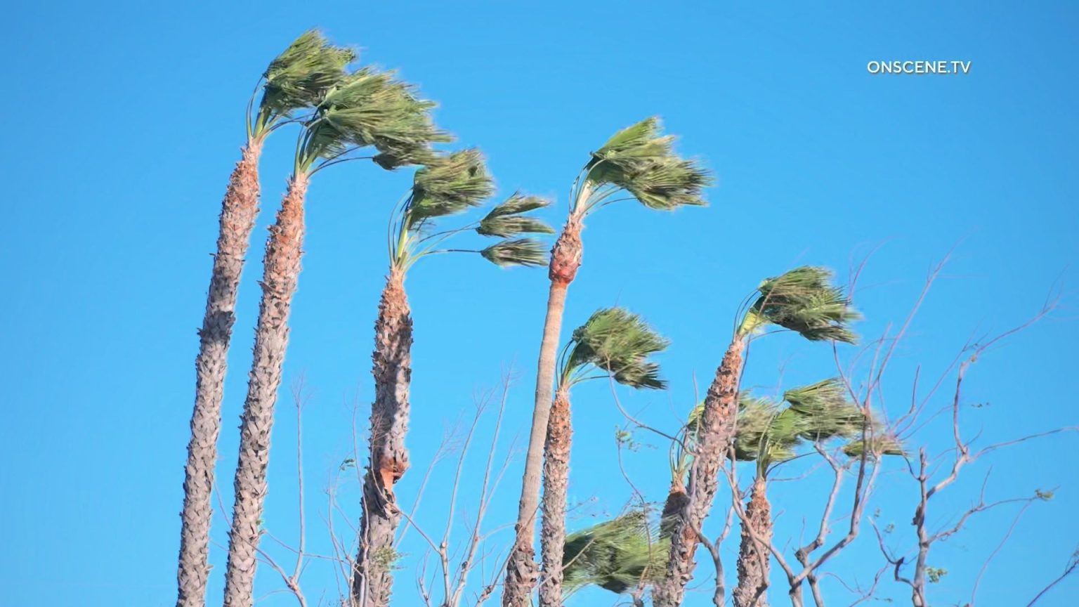 Moderate Santa Ana Wind Brings Gusty Conditions to Parts of Southland ...