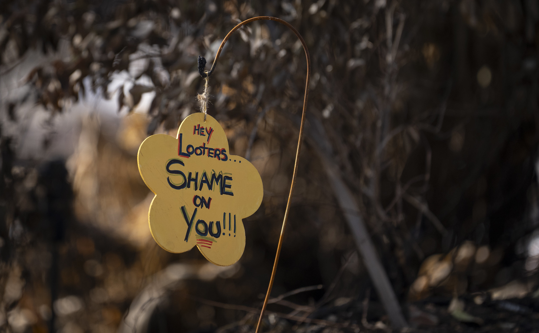 DA Hochman Announces Proposal to Stop Looters in Fire Zones - MyNewsLA.com