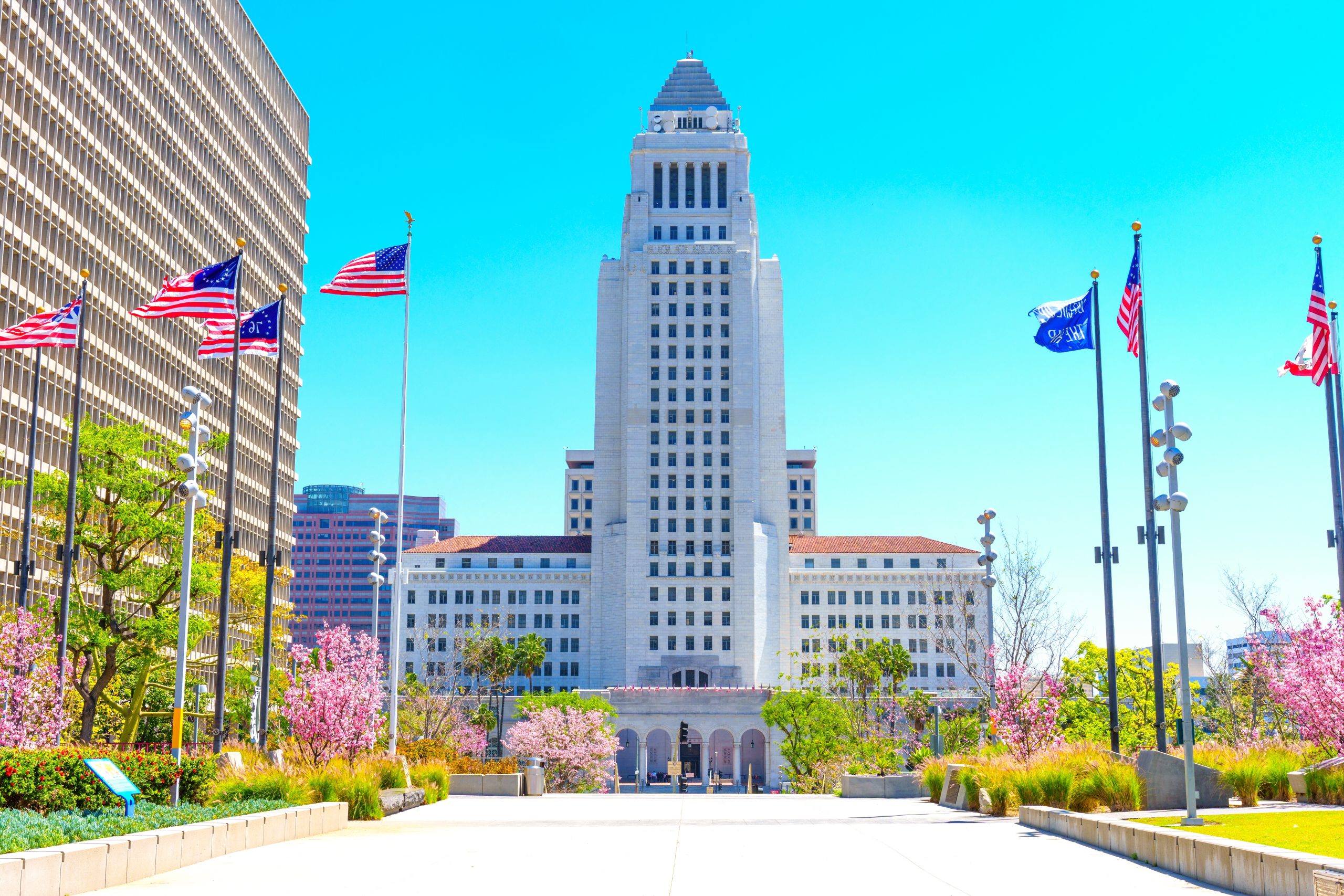 Patrice Lattimore Will Serve as City Clerk Following Holly Wolcott's ...