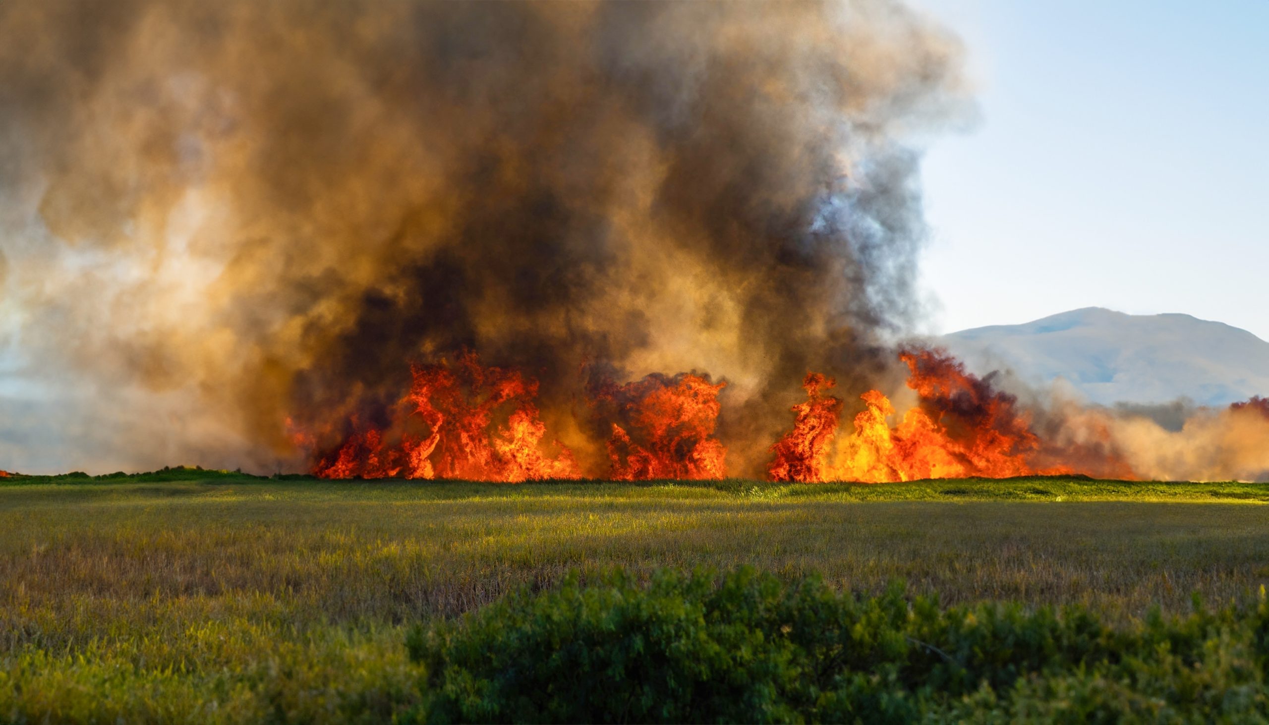 Car Fire Spreads to Brush Near 215 Freeway - MyNewsLA.com