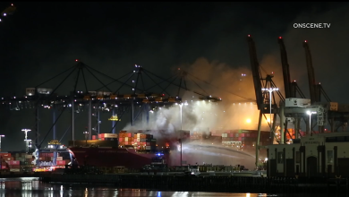 Container Ship Catches Fire at Port of LA - MyNewsLA.com